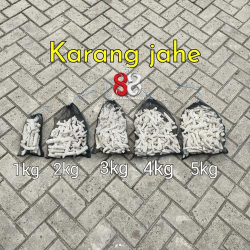 Jual karang jahe ph buffer 1kg || 2kg || 3kg || 4kg || 5kg + waring ...