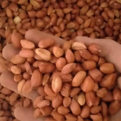 Jual kacang tanah kupas 1 kg - Kota Batam - jaya segar sukses | Tokopedia