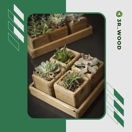 Jual Pot Kayu Tanaman Hias Kaktus Sukulen Sculen Estetik/Dekorasi Rumah ...