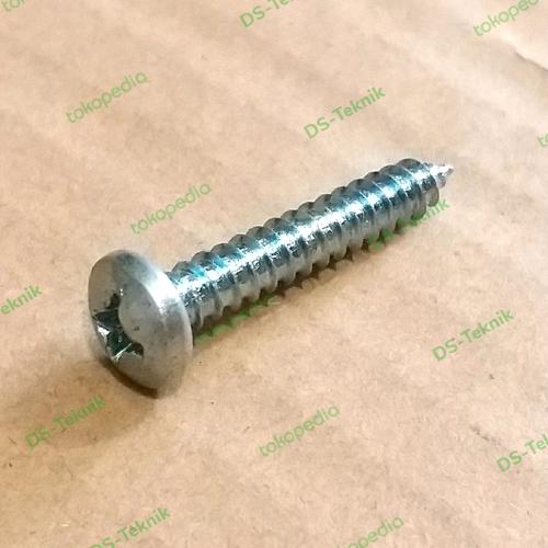 Jual SKRUP PAB 12 x 1 1/4" SEKRUP TAPPING PH 3cm BESI GALVANIS SCREW ...