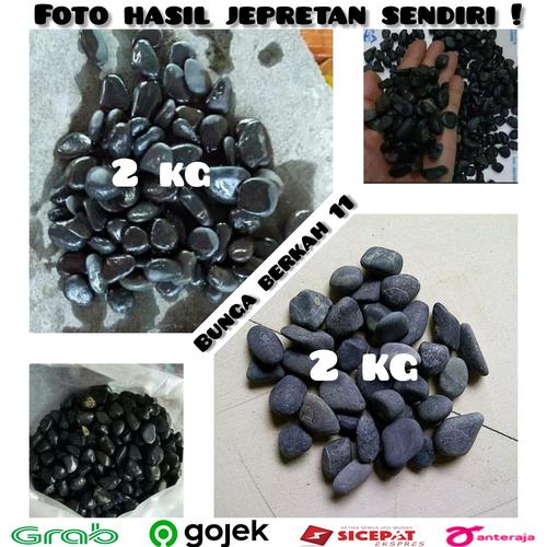 Jual batu coral hitam 2kg / batu hias taman / batu hias aquarium ...