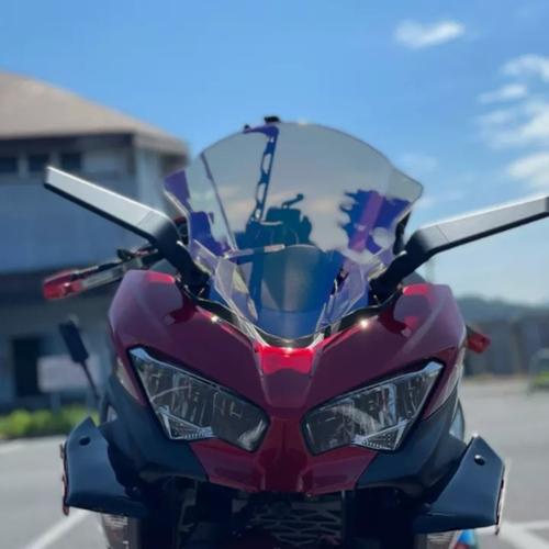 Jual SPION WINGLET MODEL RIZOMA F22R ZX25R NINJA 250 FI KARBU CBR R25 ...