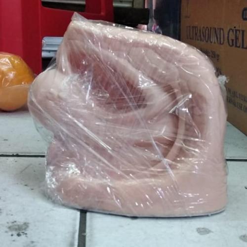 Jual phantom kateter Wanita Alat Phantom Catheter Cewek Manekin Manikin ...