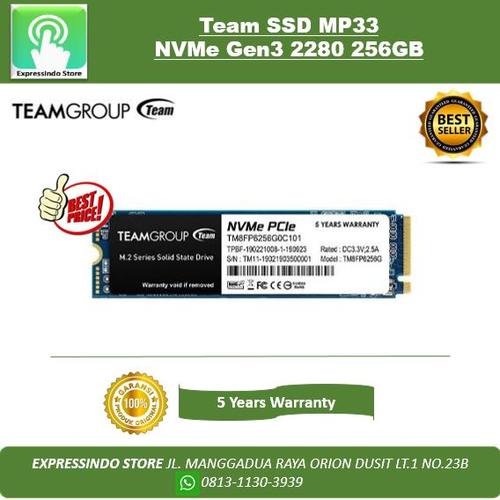 Jual SSD Team MP33 NVMe Gen3 2280 256GB - Jakarta Pusat - Expressindo ...