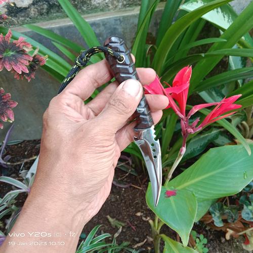 Jual pisau setek model rambo - Kab. Bondowoso - F.E ALLSHOOP | Tokopedia