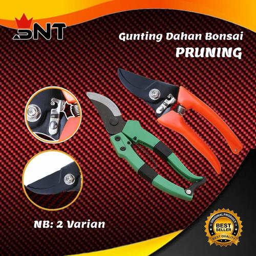 Jual Gunting Pemotong Dahan Ranting tanaman Gunting tanaman hias ...