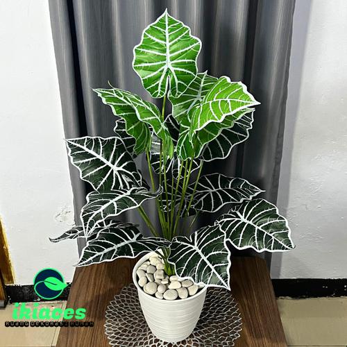 Jual DAUN AGLONEMA ARTIFICIAL DAUN PLASTIK POT BUNGA KELADI HIAS MURAH ...
