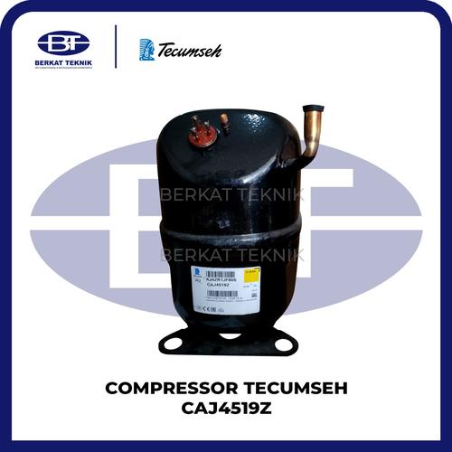 Jual Compressor Tecumseh CAJ4519Z - Tecumseh CAJ 4519Z R404 - VALVE ...