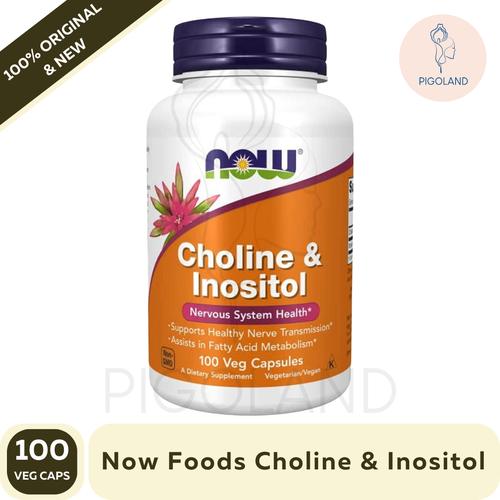 Jual Now Foods Choline & Inositol 500 Mg PCOS Saraf Nerve Brain 100 ...
