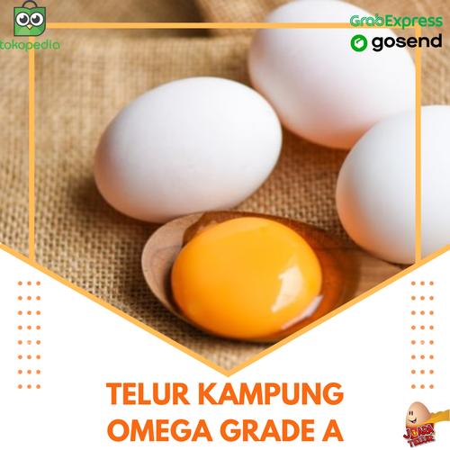 Jual TELUR AYAM KAMPUNG OMEGA GRADE A - Jakarta Barat - Juara Telur ...