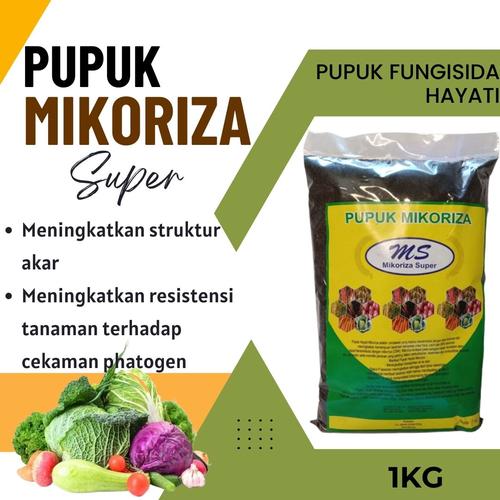 Jual Mikoriza Pupuk Hayati 1 kg, + Tricoderma Mikroorganisme Penyubur ...