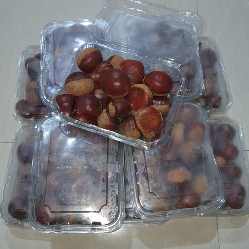 Jual fresh kacang chestnut kastanye - Jakarta Utara - CSYstore | Tokopedia