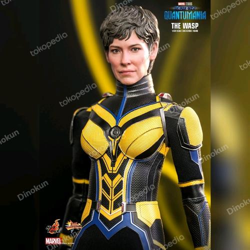 Jual PO* Hot Toys HT MMS691 ANTMAN AND THE WASP QUANTUMANIA - THE WASP ...