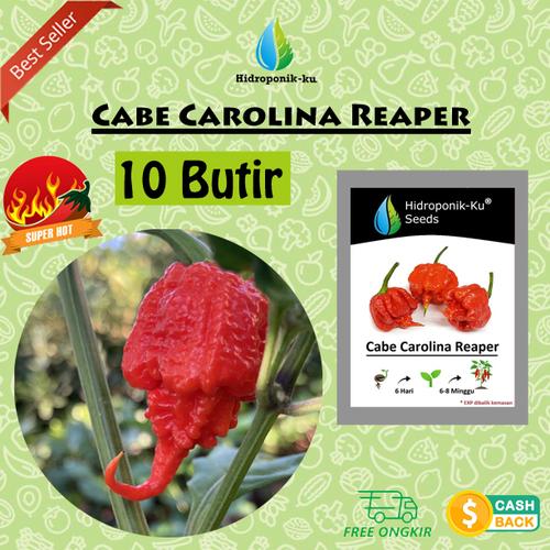 Jual Bibit / Benih Cabe Carolina Reaper (10 Butir) - Hidroponik Ku ...