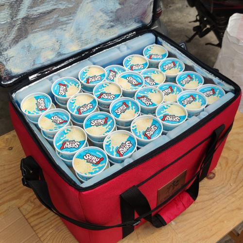 Jual Cooler Bag Besar Tas Ice Cream Box Ice Cream FULL SET - Navy ...