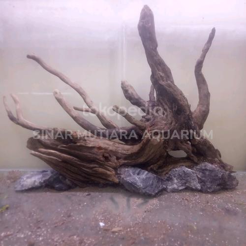 Jual hardscape kayu tank 45cm - Jakarta Barat - SINAR MUTIARA AQUARIUM ...
