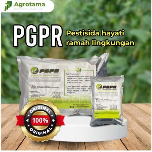 Promo Pestisida alami & Pemacu Pertumbuhan Tanaman PGPR 100 gram - Kab ...