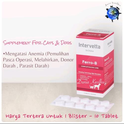 Jual Intervetta Ferro B Suplemen Anemia Kucing & Anjing 1 Strip (10Tablet) - Kota Tangerang ...