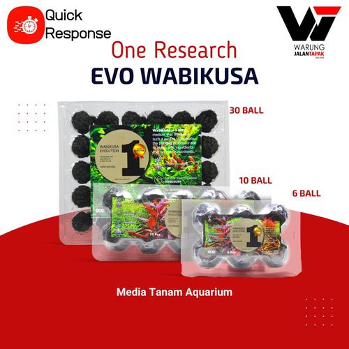 Jual Wabikusa Evolution Ball Media tanam aquascape 6 bola - 6 Bola - Kota Bekasi - Warung ...