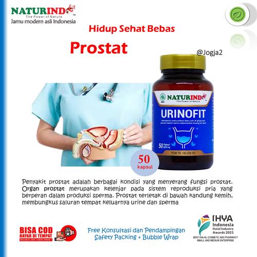 Jual Obat Prostat Sakit Ginjal Infeksi Saluran Kencing Urinofit ...
