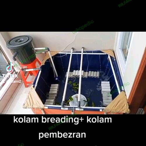 Jual ember bio filter kolam lobster/ikan fulset - Kab. Bekasi - RR FARM ...