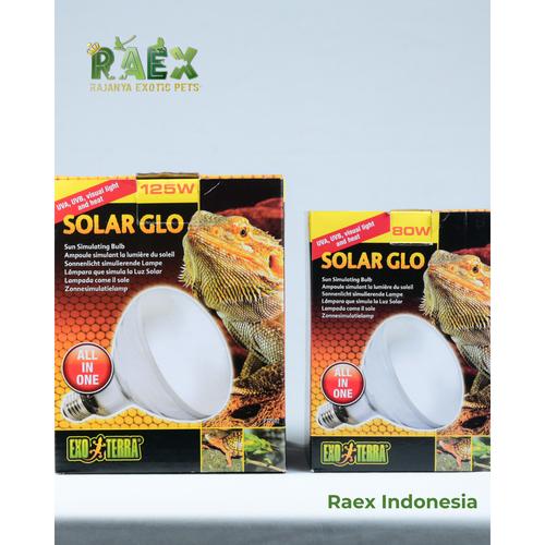 Jual Exoterra Solar Glo Lamp / Lampu UVA + UVB Reptile LAMPU REPTIL - 125w - Jakarta Utara ...