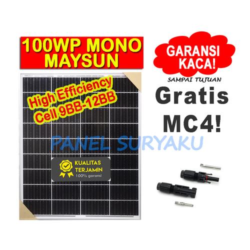 Jual Solar Panel Surya 100wp Mono Solar Cell 100wp Original - Jakarta ...