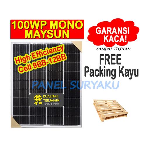 Jual Solar Panel Surya 100wp Mono Solar Cell 100wp Original - Jakarta ...