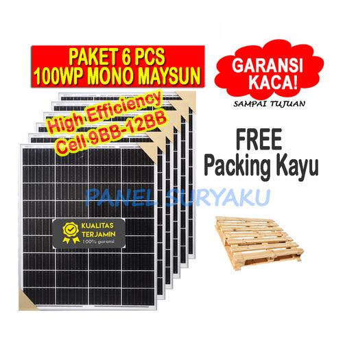 Jual Paket 6pcs Solar Panel Surya 100wp Mono BERKUALITAS Free Palet ...