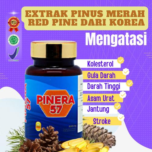 Jual 30 Kapsul / Red Pine Asli Korea / PINERA 57 / Extract Pinus Merah ...
