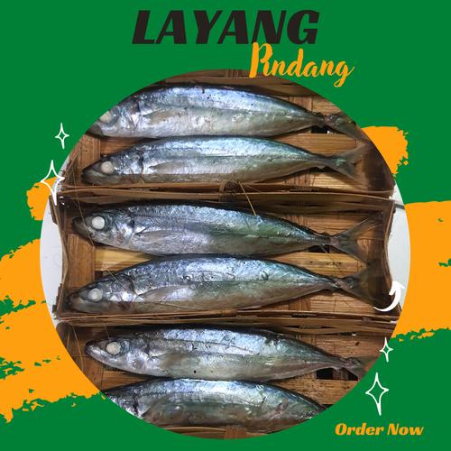 Jual IKAN LAYANG / IKAN CUEK / IKAN PINDANG MATANG - Kota Tangerang ...