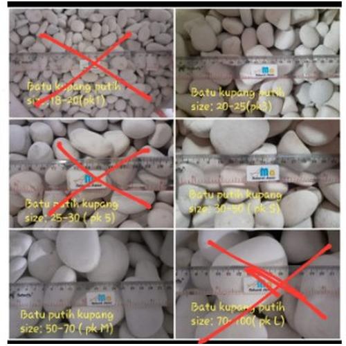 Jual Batu Alam Putih Koral Putih Kupang batu taman hiasan tanaman pot ...
