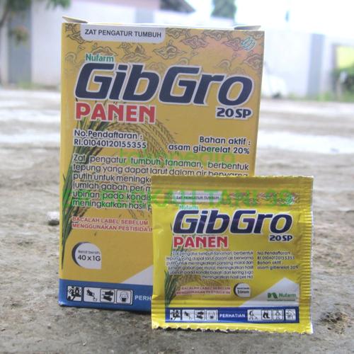 Jual gibro panen 20sp ZPT 1gram - Kab. Indramayu - SR BERKAH TANI 99 ...