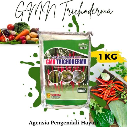 Jual Obat Layu Fusarium Pada Tanaman Pisang, Pupuk Trichoderma ...