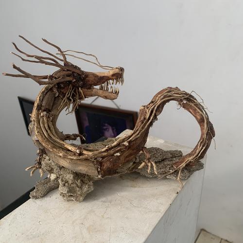 Jual hiasan aquascape meja naga mini - Kota Malang - Rumahan 11 | Tokopedia