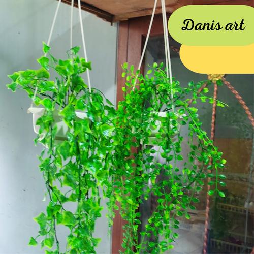 Jual Tanaman gantung plastik/ tanaman juntai/ tanaman rambat/ tanaman ...