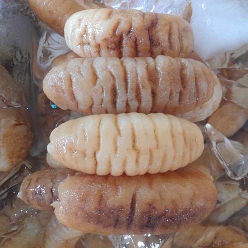 Jual haisom/teripang laut 1kg - Kota Tangerang - Lucky Seafood | Tokopedia