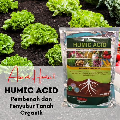 Jual Asam Humat Penyubur Tanah Organik, Pupuk Pembenah Lahan Humic Acid - Jakarta Pusat - Maju ...