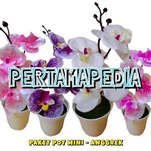 Jual Pot Meja Kecil-Tangkai Bunga Anggrek/Dekorasi Plastik/Tanaman ...