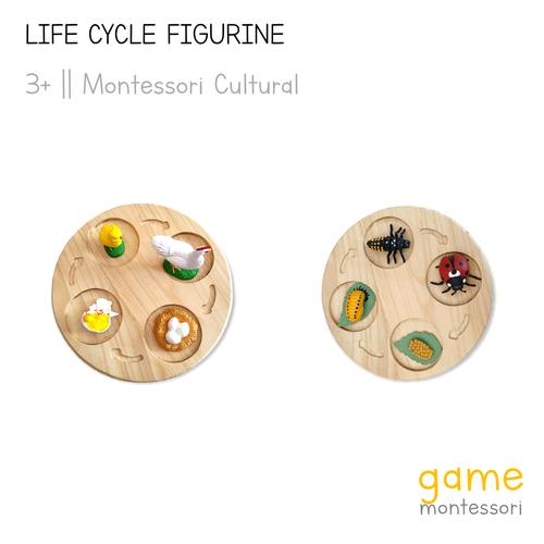 Jual Game Montessori Life Cycle Figure Frog, Chicken, Ladybug or Ant ...