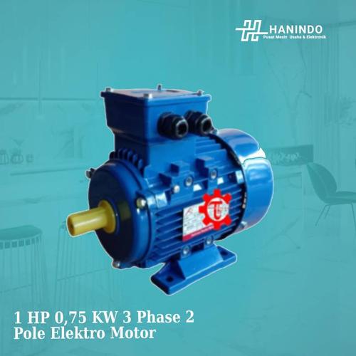 Jual 1 HP 0,75 KW 3 Phase 2 Pole Elektro Motor/dinamo/Motor Induksi B3 - Kota Bandung - HANINDO ...