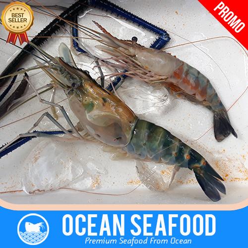 Jual Udang Galah Segar Kecil 10-15 / Udang Galah Fresh @500gr Seafood ...