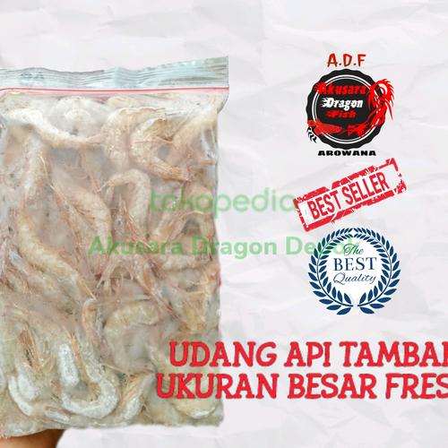 Jual Udang Api Beku Ukuran Besar Pakan Ikan Predator Konsumsi dsb - 500 ...