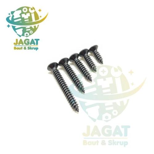 Jual Skrup Flat kepala 5 panjang 16 mm sekrup hitam baut besar screw ...