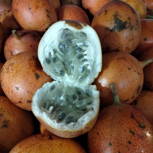 Jual Buah Markisa Medan Manis segar - 500 gram - Jakarta Timur - Alesha ...