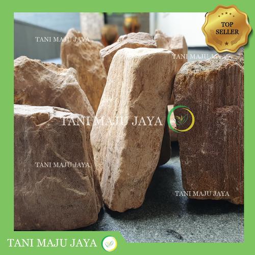 Jual Batu Fosil Kayu Basking Reptil Kura Hardscape Aquascape Fossil ...