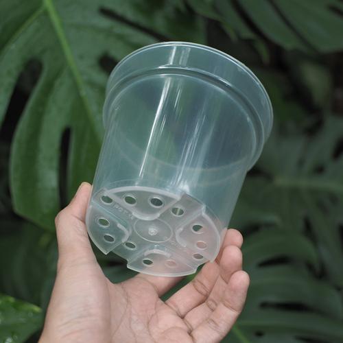 Jual Pot Bening Plastik 12cm - Pot Bening Poros - Pot Bening Transparan ...