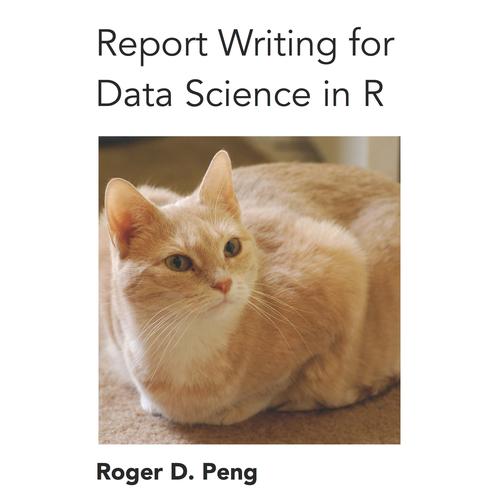 Promo Buku Roger D. Peng - Report writing for data science in R-Leanpub - Kab. Bogor - buku ...