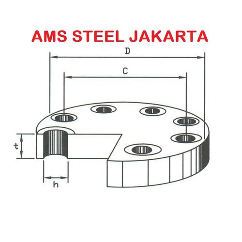 Jual Blind Flange JIS 5K 6 inch / 150mm Flange Buta Besi CS Non ...