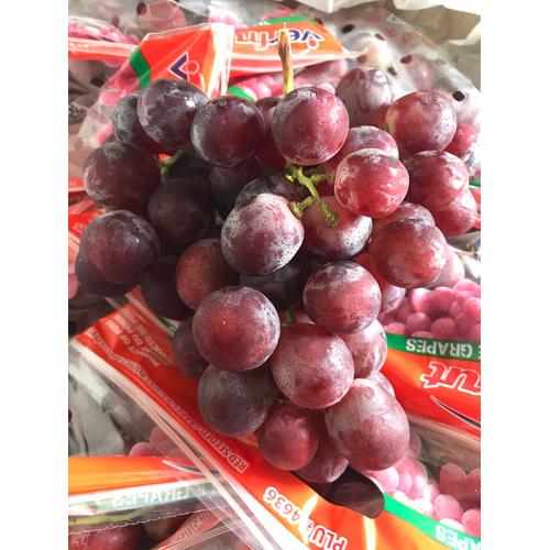 Jual Anggur merah 1kg - Kota Serang - Sumber Buah Serang | Tokopedia